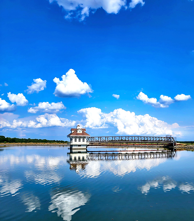 The Newark Reservoir offers mirror-perfect reflections and walking paths that make exercise feel like meditation.