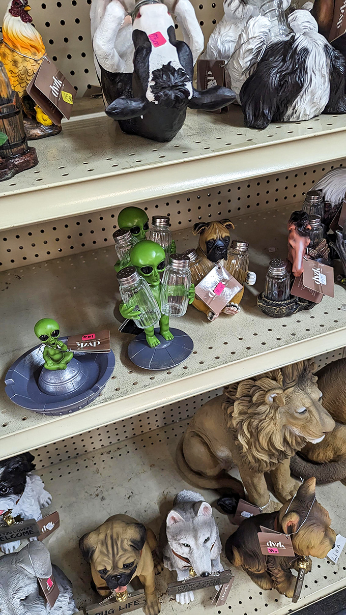 The extraterrestrial section: where green aliens and salt shakers coexist in perfect retail harmony. Area 51 has nothing on this shelf!