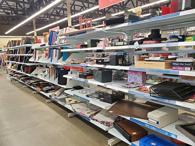 Office supplies that have seen more corporate restructurings than a tech startup. That three-hole punch might outlive us all.