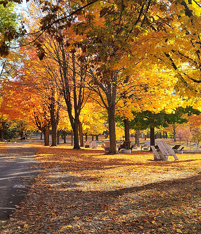 Fall in Manistee paints with nature's most vibrant palette, creating leaf-peeping opportunities that'll have your Instagram followers green with envy.