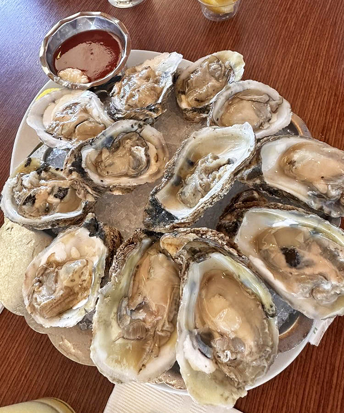 Oysters on the half shell&mdash;nature's perfect appetizer, requiring nothing more than a squeeze of lemon and a moment of appreciation.
