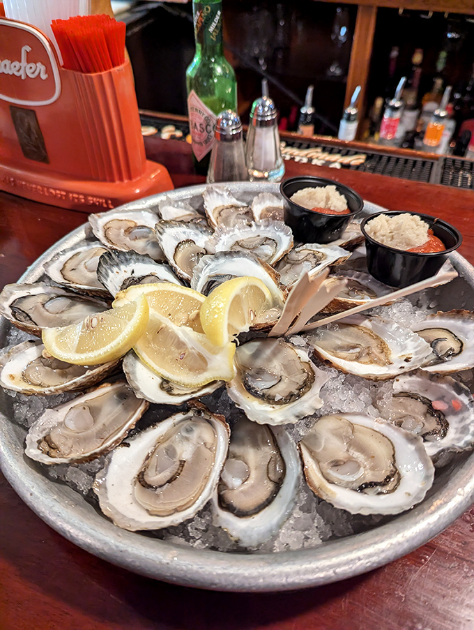 These aren't just oysters; they're glistening jewels of the Atlantic, arranged like a pearl necklace on crushed ice.