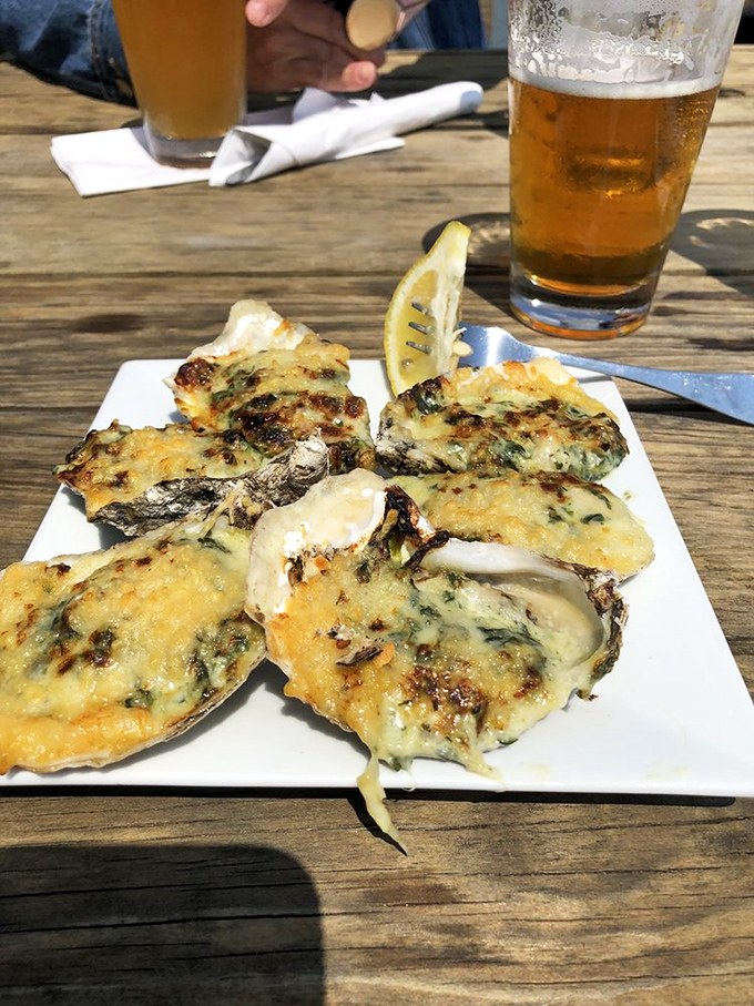 Oysters Rockefeller so beautifully broiled they'd make a Vanderbilt jealous. That cold beer in the background? The perfect supporting actor.