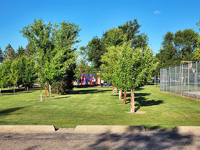 Young trees stand like hopeful newcomers in this well-maintained park, where future shade and memories grow in equal measure.