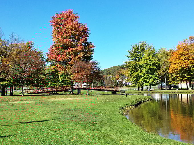 Fall in Smethport paints the landscape in a palette so vibrant it makes you wonder if Mother Nature is showing off just for Pennsylvania.