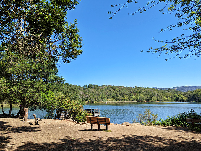 A lakeside bench invites contemplation at one of Santa Rosa's peaceful parks, where water views and mountain backdrops create nature's perfect stress reliever.