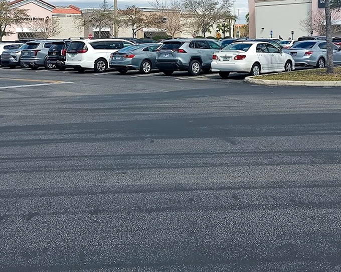 The parking lot: where your car will bake in the Florida sun while you enjoy the air-conditioned shopping paradise within.