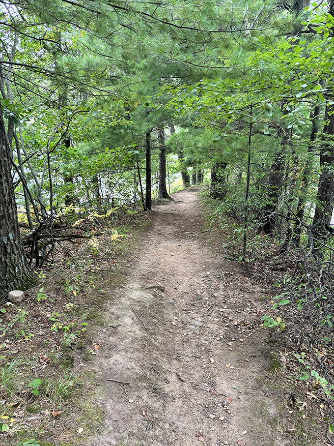 Nature's hallway beckons with dappled sunlight and pine-scented air. This trail promises adventure without the need for Wi-Fi.