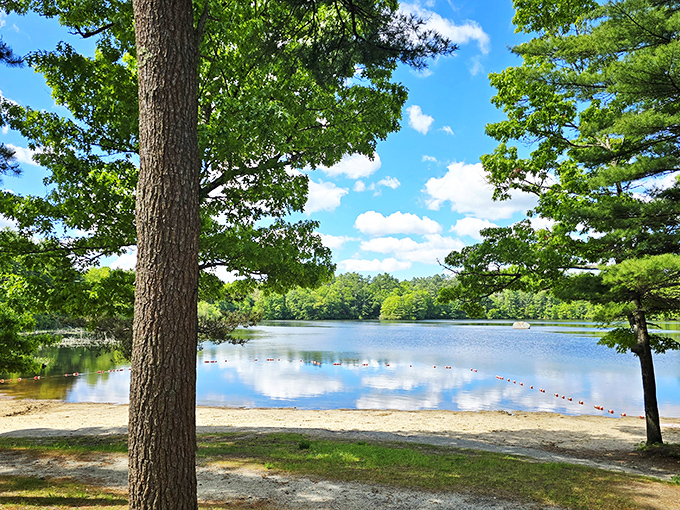 The kind of summer day that makes you forget passwords, deadlines, and why you ever thought indoor activities were worthwhile.