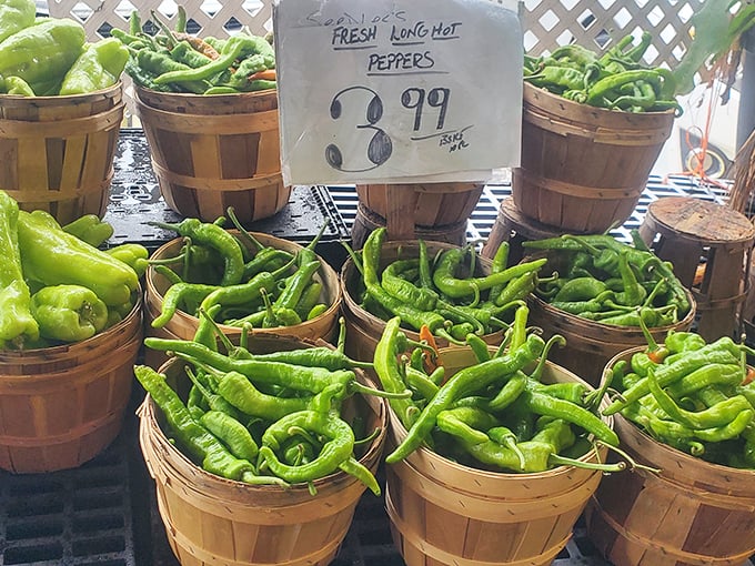Garden-fresh long hot peppers, a Jersey summer staple. These baskets of green fire are destined for sandwiches, sauces, and brave taste buds everywhere.