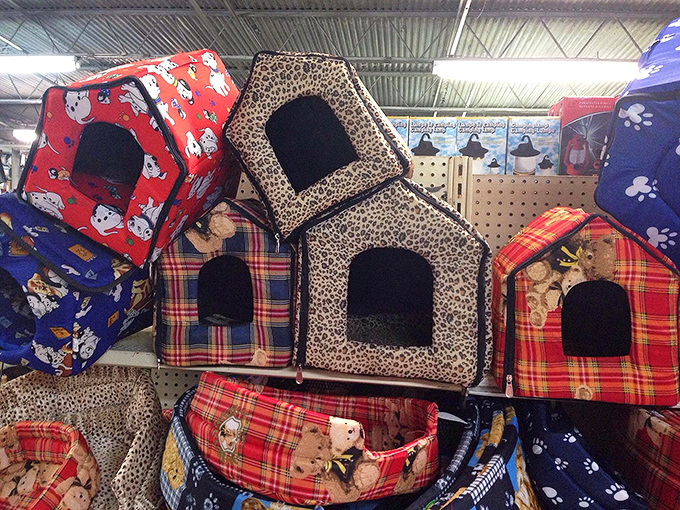 Pet palaces fit for furry royalty&mdash;because sometimes Fluffy deserves better accommodations than the humans who serve her.