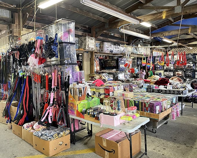 A pet supply wonderland where Fido's next favorite toy costs less than your morning coffee.