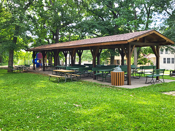 Phelps Park offers shaded picnic areas perfect for those lazy summer afternoons when your biggest decision is which sandwich to eat first.
