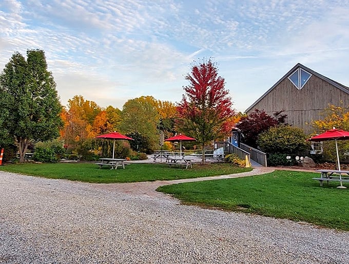 Fall foliage creates a fiery backdrop for Sarah's outdoor seating area, where picnic tables await leaf-peepers with wine glasses.