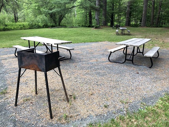 Picnic tables and a grill station await your culinary creativity. In Vermont, even hot dogs taste gourmet when served with a side of fresh mountain air.
