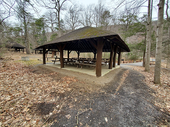 Rain or shine, this sturdy pavilion offers shelter for picnics, gatherings, or simply watching the world go by.