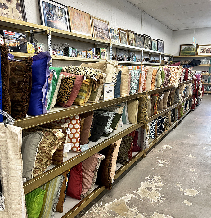 The pillow section: a textile rainbow where you can completely redecorate your couch for less than the cost of a mediocre dinner out.