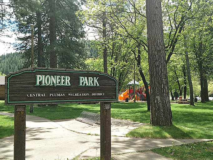 Pioneer Park delivers exactly what its name promises&mdash;a place where kids can pioneer the lost art of playing outside without Wi-Fi.