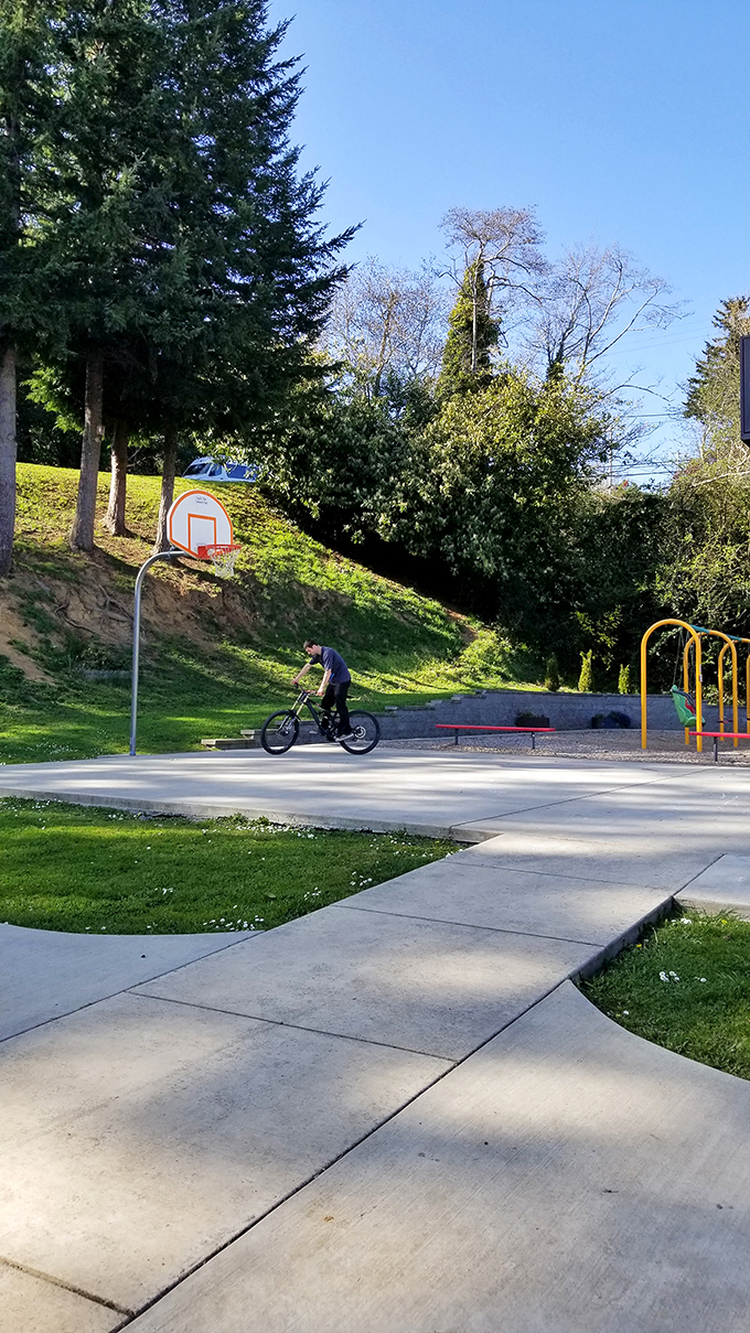 Local parks offer more than just recreation&mdash;they're community gathering spots where kids master bike tricks while parents pretend not to hover nervously nearby.