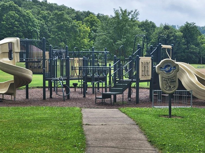 Childhood joy meets wilderness at Chapman's playground. Because sometimes kids need to climb something that isn't covered in poison ivy.