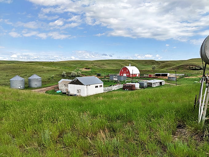 Rolling greens meet big sky at Plentywood Golf Club, where your slice disappears into scenery worth the extra stroke.