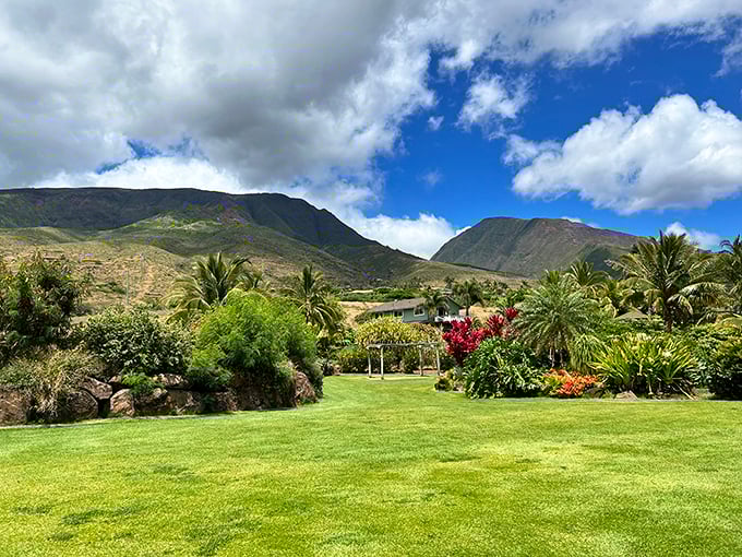 The West Maui Mountains create a dramatic backdrop for this verdant garden oasis. Even the clouds seem to pause for a better view.