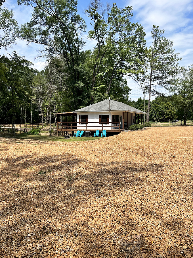 Purdie Creek Campground offers peaceful retreats where your biggest decision might be whether to nap on the porch or take another fishing trip.