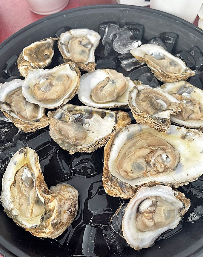 Nature's perfect appetizer: briny, fresh oysters on ice. The ocean's version of "here, I made this just for you."