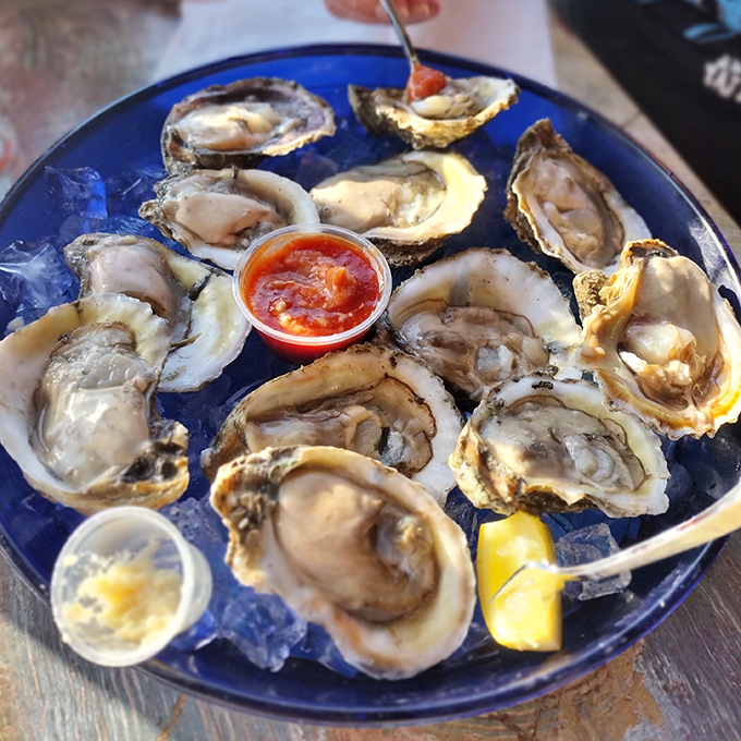 Raw oysters on ice &ndash; nature's perfect appetizer. Just a squeeze of lemon, maybe a dash of hot sauce, and you're communing with the sea.