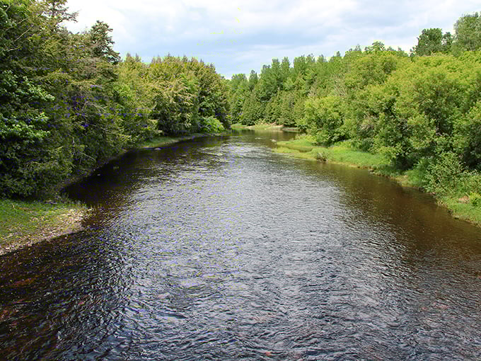 The Meduxnekeag River flows with the unhurried confidence of someone who knows exactly where they're going. Nature's version of "I'll get there when I get there."