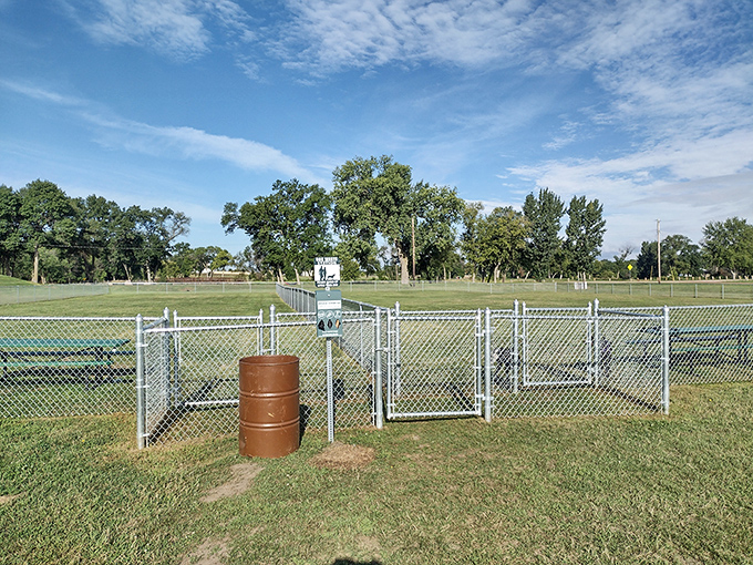 Four-legged friends have their own slice of paradise at River's Edge Dog Park, where both pups and their humans enjoy fresh air and socialization.