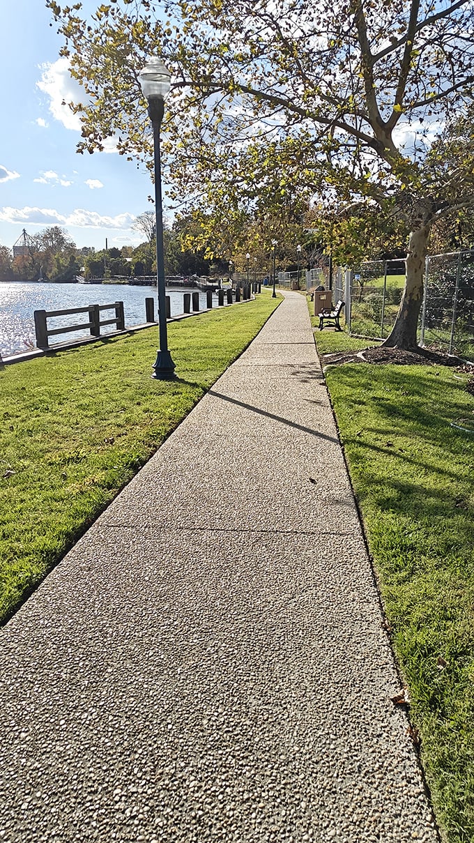 The Nanticoke River waterfront path offers daily doses of serenity just steps from downtown. Nature's therapy session without the hourly rate or awkward silences.