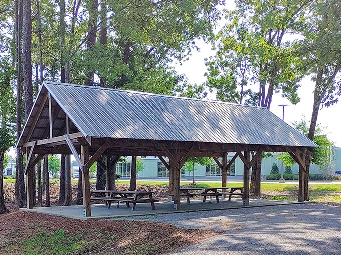 This wooden shelter looks like it was plucked from a summer camp brochure, promising picnics and memories under a canopy of Southern pines.