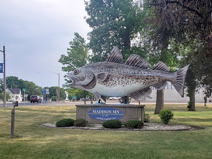 From the roadside, the giant fish appears to swim through a sea of green grass, towering grain silos its unlikely backdrop.
