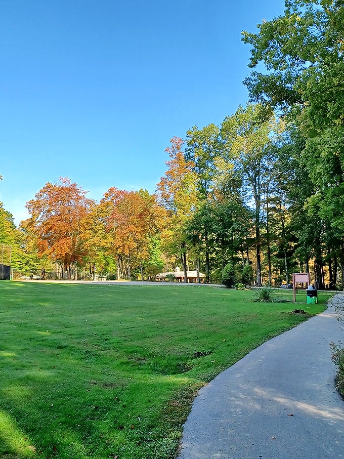 Fall paints Meadville's parks with a palette that would make Bob Ross weep with joy. Nature's retirement gift to residents.