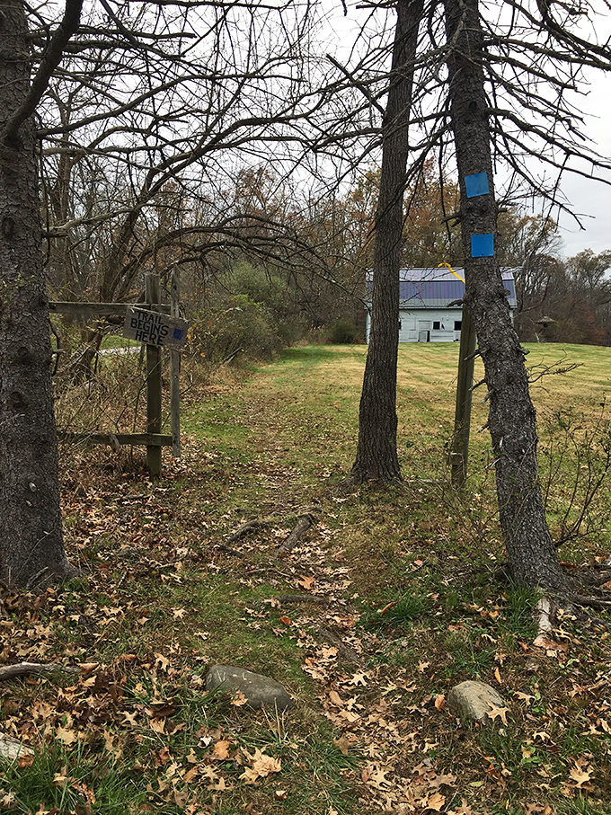 Nature's own StairMaster, but with better scenery and no monthly membership fees required for admission.