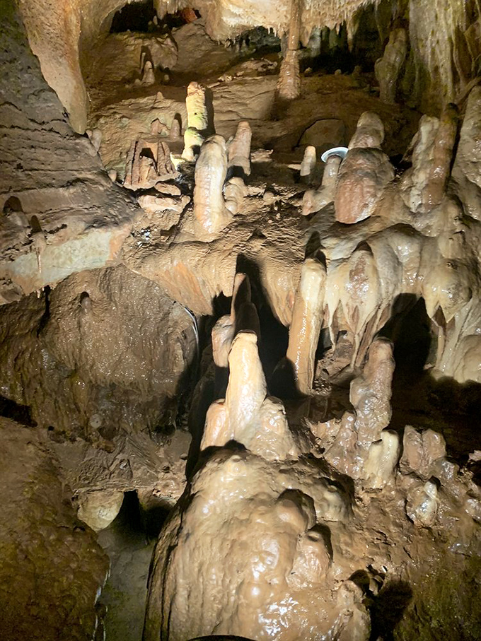 Nature's sculpture garden puts human artists to shame. These formations grow at the patient pace of one cubic inch every century.