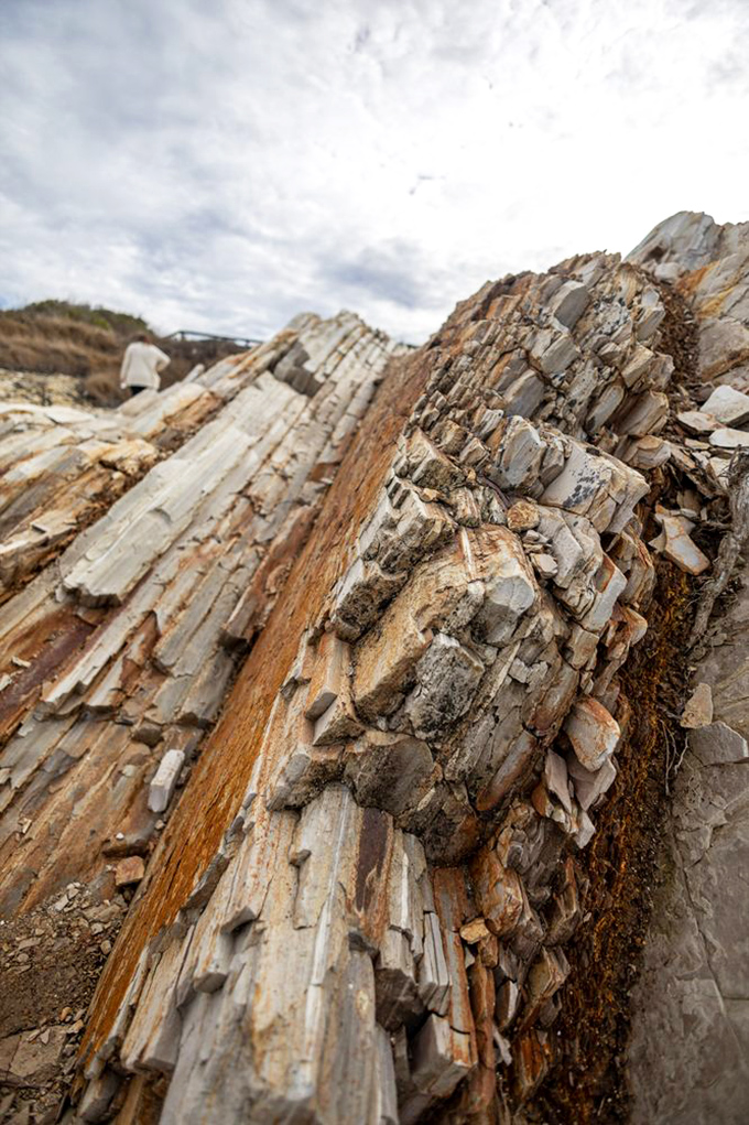 Nature's architecture puts Frank Gehry to shame. These layered sedimentary rocks tell geological stories older than Hollywood itself.