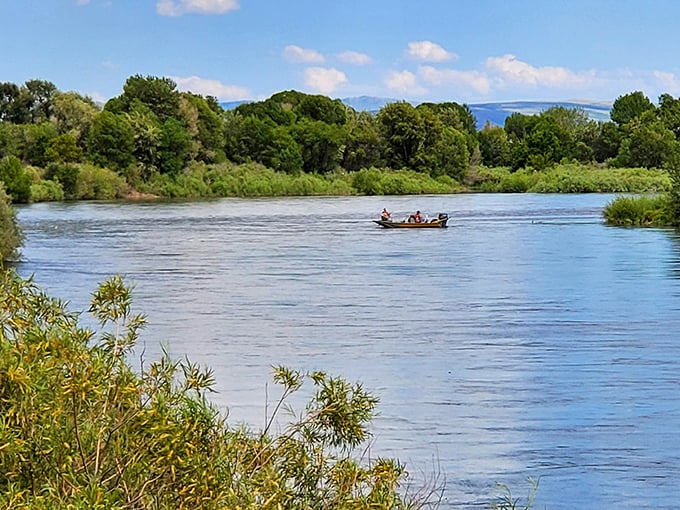 The Snake River meanders through like nature's own lazy river, no admission ticket required.