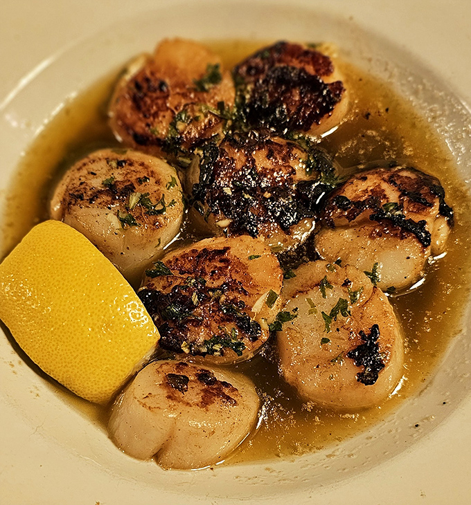 Scallops seared to golden perfection, swimming in buttery bliss. That lemon wedge isn't just garnish&mdash;it's the bright note that ties this symphony together.