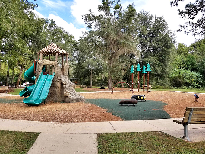 Scott Springs Park proves that playgrounds aren't just for kids&mdash;they're for parents who secretly want to test out those slides when no one's looking.