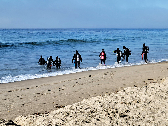 The scuba squad emerges from Neptune's realm, looking like extras from a Jacques Cousteau documentary. Underwater explorers returning with tales from below.