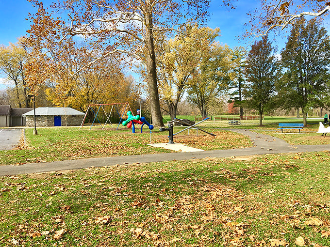 Shafer Park's playground stands empty in autumn's golden light, the swings gently swaying as if ghosts of summer memories are still at play.
