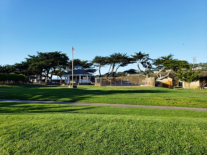 Shamel Park offers a perfect slice of California coastal living with manicured lawns meeting windswept Monterey pines.