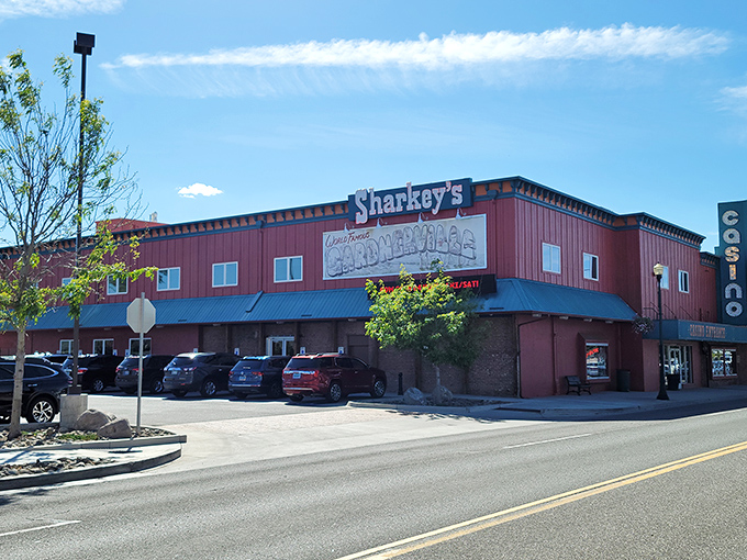 Sharkey's Casino isn't trying to be Vegas, and that's precisely its charm &ndash; a place where the slots are loose and nobody's counting your carbs.