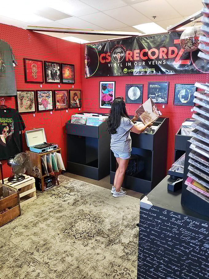 "Vinyl in our veins" isn't just a slogan &ndash; it's a diagnosis for anyone who's ever spent hours flipping through record bins seeking that perfect album.