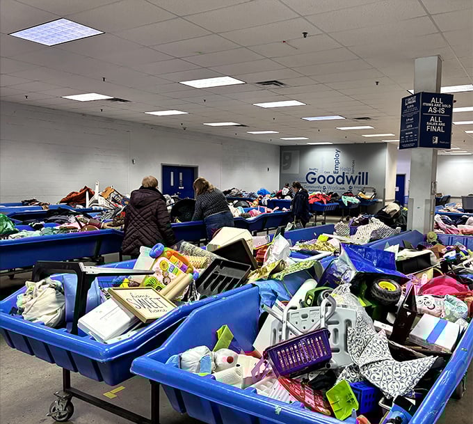 Treasure hunters in their natural habitat, strategically positioned around blue bins like prospectors at a modern-day gold rush.