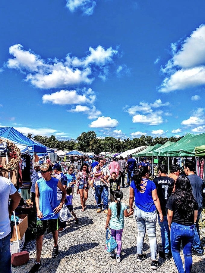 The weekend pilgrimage to Brightleaf brings together treasure hunters from all walks of life, united in the universal joy of finding something special.