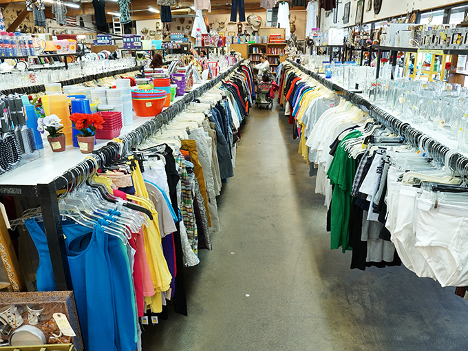 The clothing section is meticulously organized by type and size, a small miracle in the typically chaotic thrift store universe.