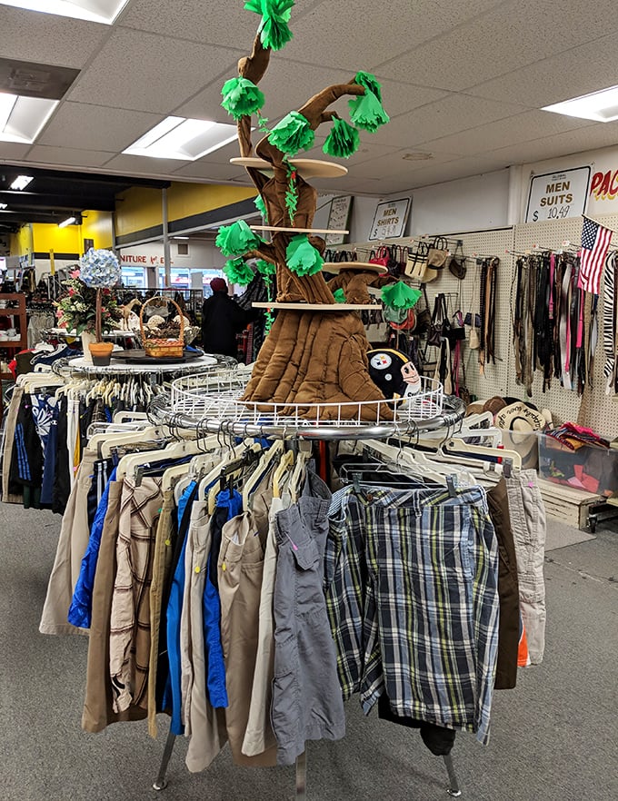 The men's section, complete with whimsical palm tree display, proves that organization and character can coexist beautifully in thrift paradise.